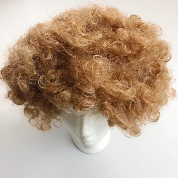 Disguise | Accessories | Disguise Austin Powers Foxxy Cleopatra Wig Os ...